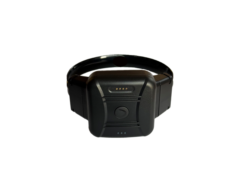 Electronic Ankle Monitor: 7 Critical Technology Advances (20